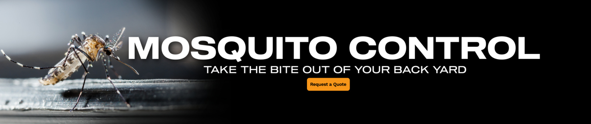 Jacksonville Mosquito Control | Safari Termite & Pest Control